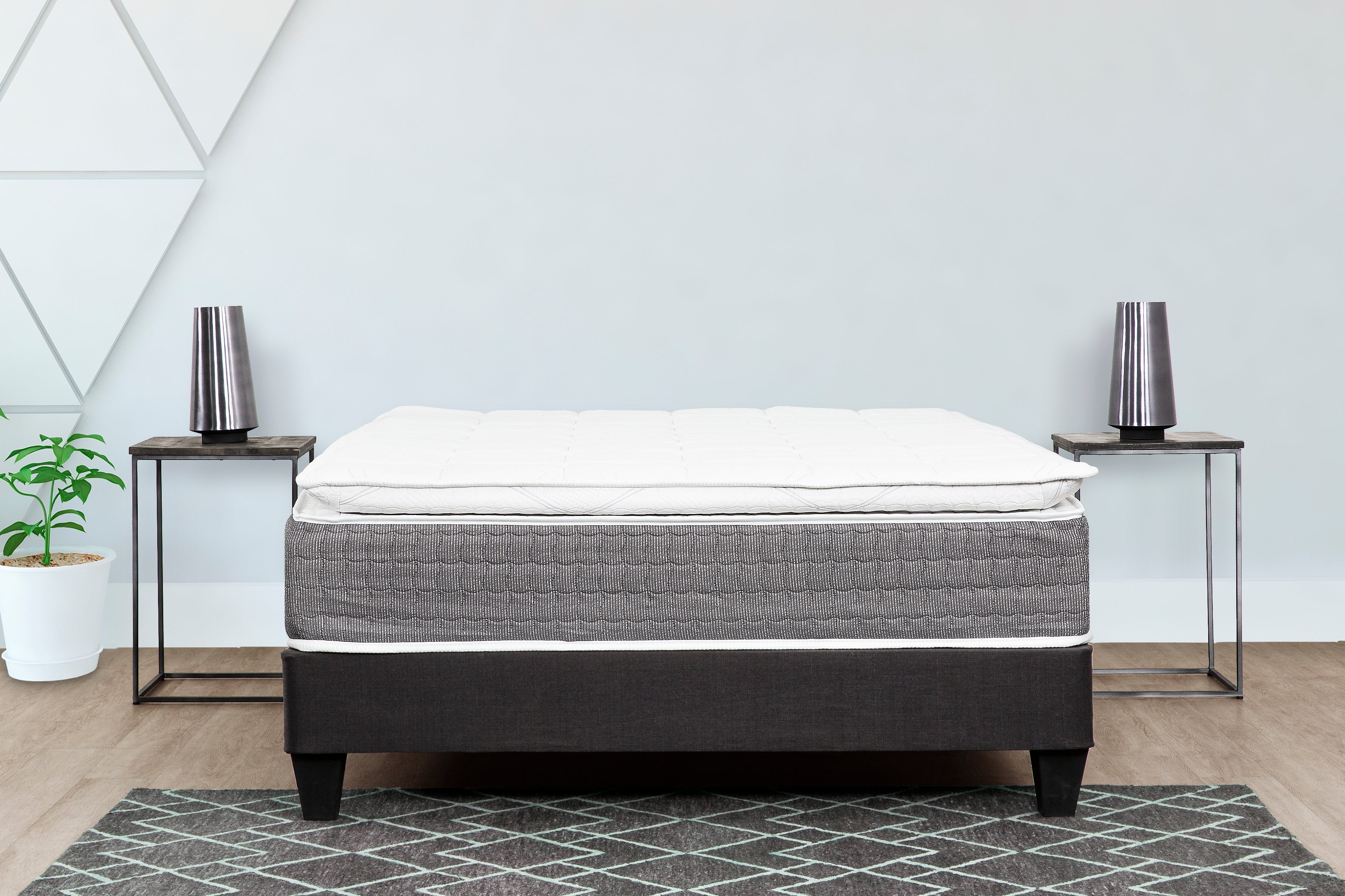 Primo Luna Collection – Primo International